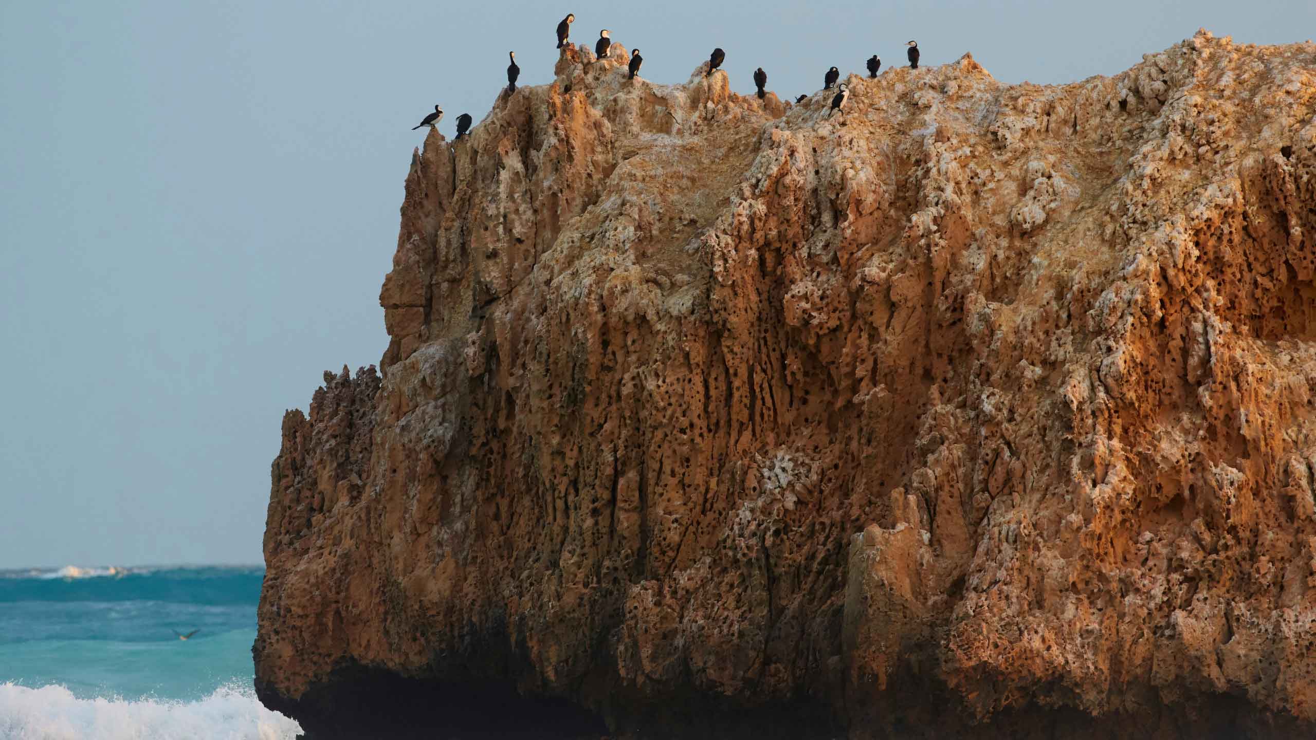 Annual Conference Schedule | EPLGA